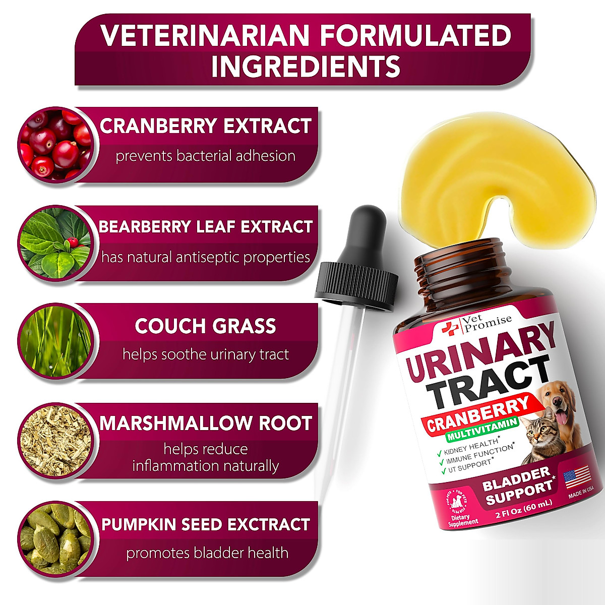 Cat & Dog UTI Treatment - Cranberry Supplement for Dogs UTI - Bladder Control - Dog Urinary Tract Infection Treatment - Dog & Cat UTI Medicine - Dog Cranberry Supplement Vitamins Multivitamin