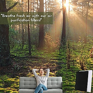 Nispira C545 HEPA Filter Replacement Ture HPEA For Winix C545 Air Purifier, P150, B151, 9300, Part Filter S 1712-0096-00 & 2522-0058-00, 113050 1 Set