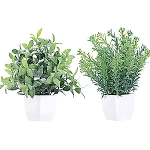 summer flower 2 Pack Fake Plants in White Pot Small Artificial Eucalyptus Potted Plants (Green-01)