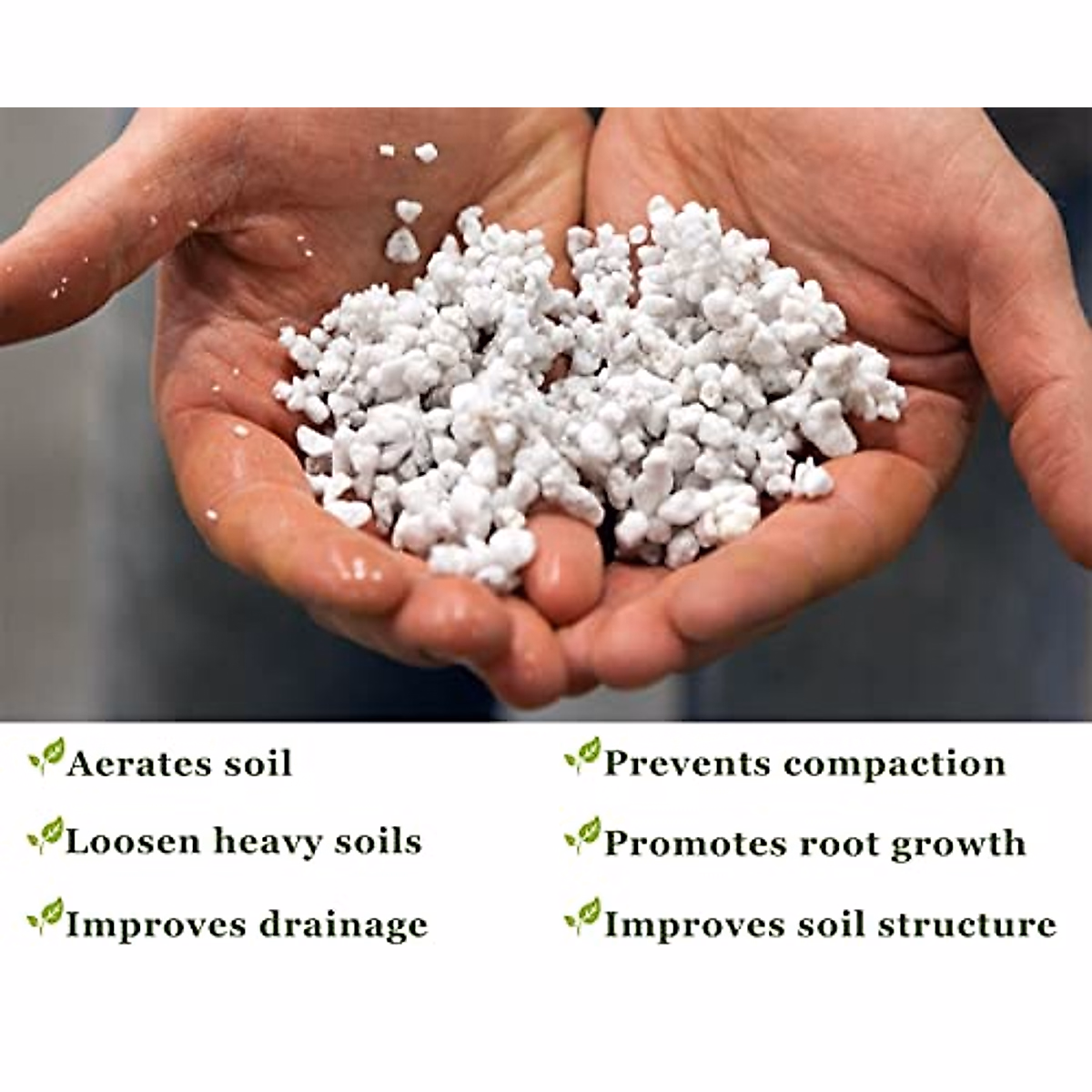 O-FarFarm Chunky Perlite Bulk, Horticultural Pearlite Coarse Perlite for Plants Indoor, Additive Conditioner Mix, Improve Drainage and Ventilation, Help Root Growth(5-10mm, 1qt)