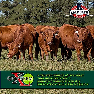 3 in 1 Block for Cattle and Horses, 40 lb