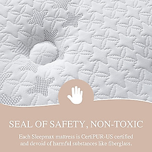 Sleepmax Queen Mattress 14 Inch - Hotel-Collection Hybrid Mattress Pain Relief - Deep Sleep Mattress Extra Lumbar & Hip Support - Motion-Isolation Bed in a Box, CertiPUR-US Certified, 365-Night Trial