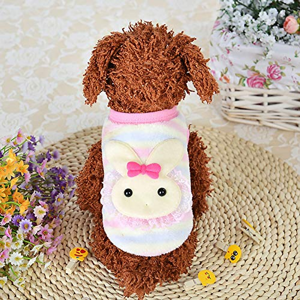 Dog Clothes for Small Dogs Girl Dress Striped Pet Winter Apparel and Home Autumn Pet Clothes Small Dog