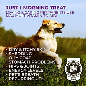 Mighty Petz MAX Dog Multivitamin MAX Hemp Glucosamine for Dogs Bundle