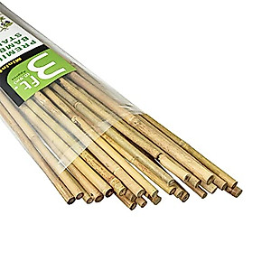 Mininfa Natural Bamboo Stakes 3 Feet, Eco-Friendly Garden Stakes, Plant Stakes Supports Climbing for Tomatoes, Trees, Beans, 25 Pack