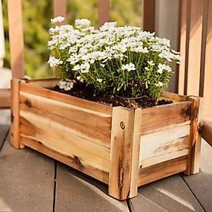 Thirteen Chefs Villa Acacia Wooden Planter Box - 17 Inch Rectangular Wood Planter for Garden, Patio, Window, Home Decor - Acacia Wood Plant Stand for Indoor or Outdoor Gardening