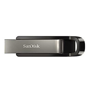 SanDisk Extreme Go 128GB USB 3.2 (2 Pack) Flash Drive for Computer, Laptop (SDCZ810-128G-G46) Type-A Bundle with (1) Everything But Stromboli Lanyard