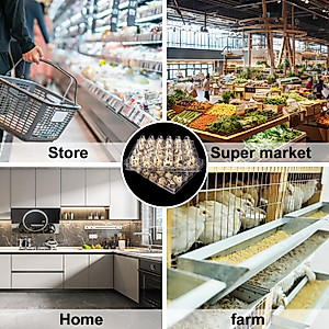 100 Pack Quail Egg Cartons, Clear Plastic Quail Egg Trays, Holds up to 30 Quail Eggs Securely - Your Ultimate Small Eggs Carton Holders for Bulk Storage and Display by KUKLIPJIM