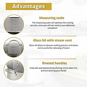 Daniks Professional Stainless Steel Stockpot with Lid 8 Qt | Large Stock Pot for Soup, Stew, Pasta, Vegetables | Induction Deep Cooking Pot