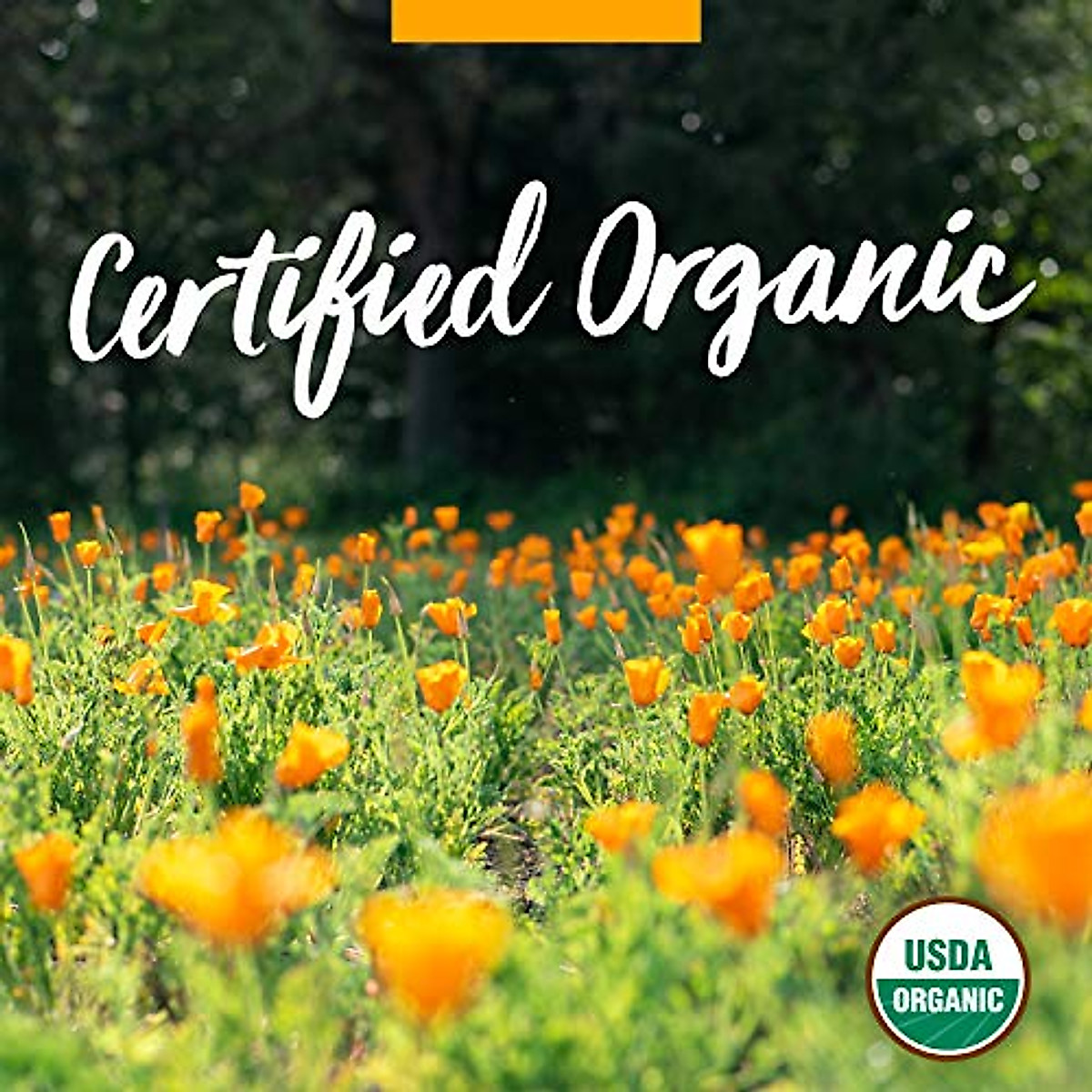 Herb Pharm Certified Organic Turmeric Root Extract for Musculoskeletal System Support - 1 Ounce (DTURM01)