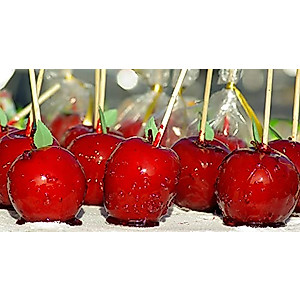 KingSeal Natural Bamboo Wood Candy Apple Skewers, Sticks, 5.5 Inch x 6.5mm diameter, Bulk Pack, Blunt Point for Safety - 1 Box of 1000 Count