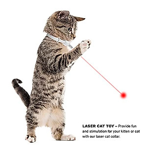 Laser Cat Toy Collar – 2 Adjustable Modes – 15 Minute Standby Shut Off – Rechargeable Micro-USB – Fits Cats and Kittens 200mm to 310mm Neck by Redeye Goods (LM2201)