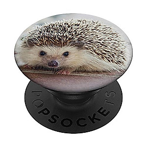 Hedgehog PopSockets PopGrip: Swappable Grip for Phones & Tablets