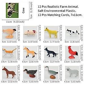 Farm Animal Toys with Flash Cards - 12 Sets of Realistic Animal Figures - Educational Learn Cognitive Toys & Animal Matching Game Playset for Toddlers Kids
