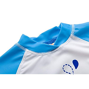 Baby Toddler Boys Two Pieces Swimsuit Set Boys Crab Bathing Suit Rash Guards with Hat UPF 50+ FBA (Crab, 18-24 Months)