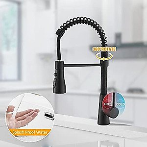 BESy Kitchen Faucet with Pull Down Sprayer, High-Arc Single Handle Single Lever Spring Rv Kitchen Sink Faucet with Pull Out Sprayer, 3 Function Laundry Faucet with Cover Plate, Matte Black