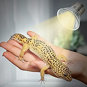 BOEESPAT Heat Lamp, UVA UVB Reptile Light with 360° Rotatable Hose and Timed, Heating Lamp with 4 Bulbs Suitable for Bearded Dragon Reptiles Turtle Lizard Snake (2 Heat Lamp wth 4 Bulb)