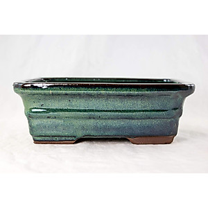 8" Rectangular Green Stain Bonsai/Succulent Pot + Tray + Rock + Mesh Combo