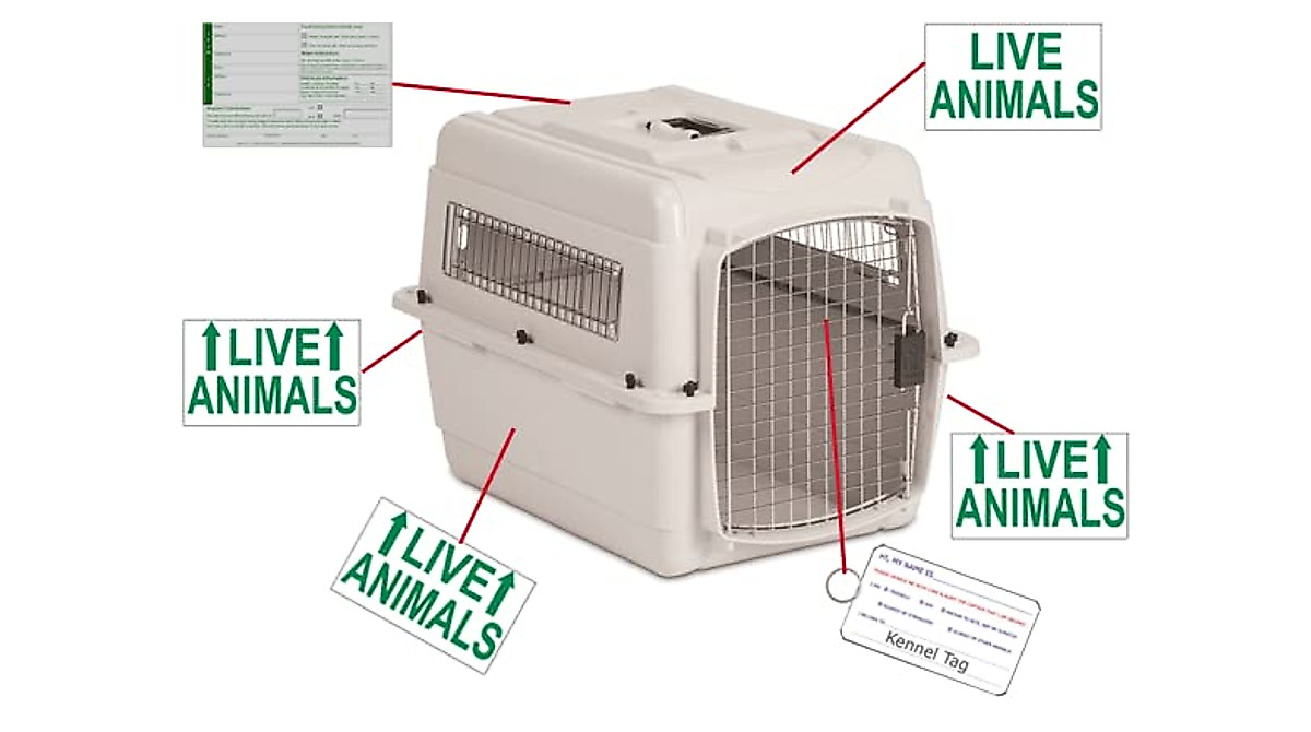 Live Animal Label Set: Safe Travel for Pets