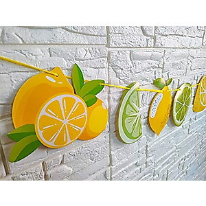 Lemonade Party Decoration Lemonade Foil Latex Balloons Banner,Lemonade Garland Decoration for Summer Lemonade Party