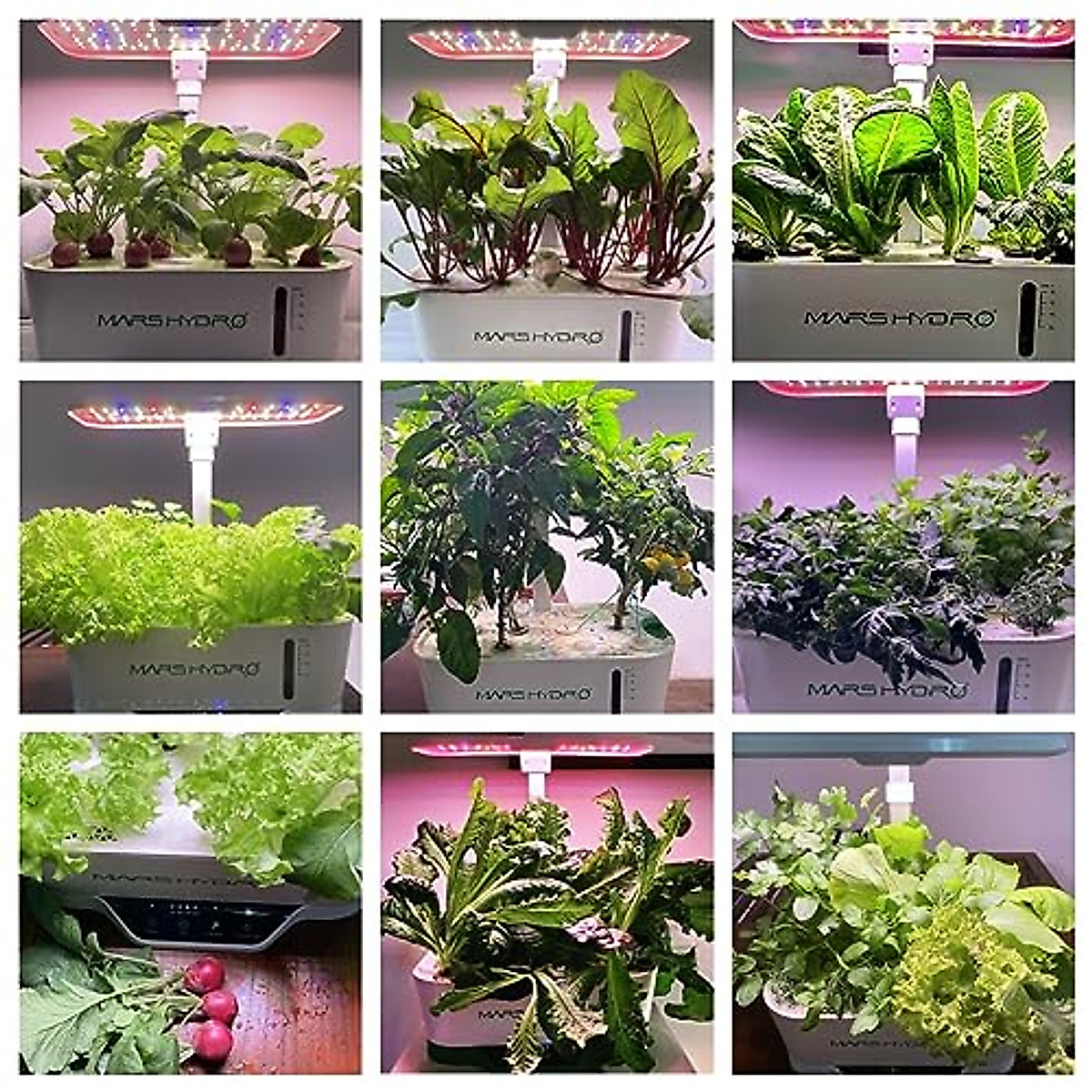 MARS HYDRO 12 Pods Hydroponics Growing System Indoor Garden with 9L Large Water Tank, Herb Plant Germination Kits with Full Spectrum LED Grow Light,Perfect Gardening Gift for Women