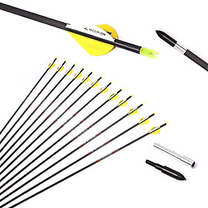Spine 400 Arrow for 70 Lb Compound Bow 24 Inch Arrow Target Practice Arrow Hunting Arrow Carbon Arrows Adult Youth Archery Indoor Outdoor Shooting Bullet Tip 12pc