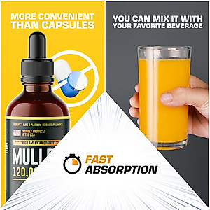 HERBIFY Mullein Drops - Lung Cleanse - Leaf Extract - Powerful Mullein for Immune Support,Detox & Respiratory Support - Made in USA - Herbal Supplements - 4 Oz