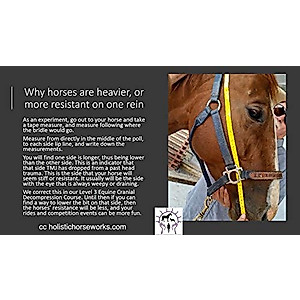 Holistic Horseworks Level 2 Equine Whole Body CranioSacral Unwinding And Advanced Applied Kinesiology Horse DVD Home Study Course - Level 1 Equine Musculoskeletal Unwinding Required