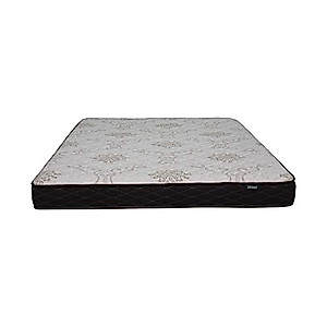Parklane Mattresses Traveler 6 Inch Foam RV/Camper/Trailer Mattress (Short Queen - 60"x75")
