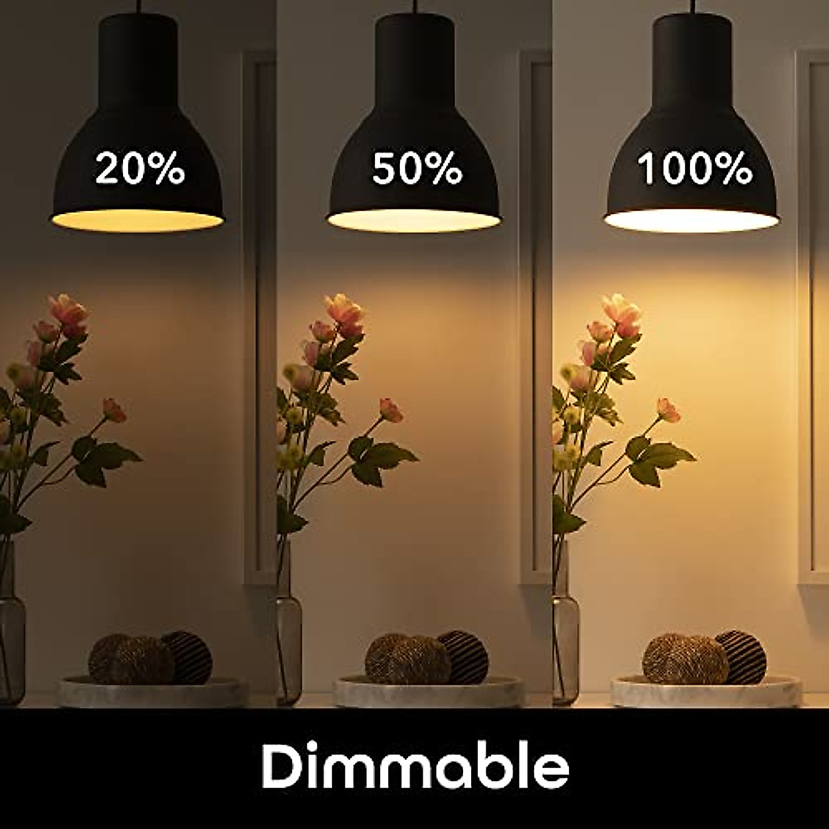 Geeni Prisma 800 2700K Dimmable A19, 60W Equivalent Color Changing RGBW LED Smart WiFi Light Bulb, Works with Alexa and Google Home, No Hub Required, Requires 2.4GHz WiFi  (2 Pack)