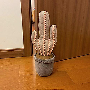 Decorative Cactus Door Stop-Cute Weighted Door Stopper for Home and Office Decoration