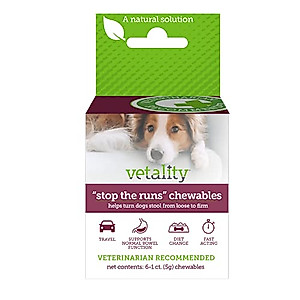 Stop The Runs | Anti Diarrhea Chewables | 6 Count