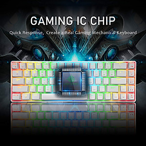 LexonElec MK 68 60% Mechanical Gaming Keyboard,Type-C Wired Computer Keyboard,18 Chroma RGB Backlit Keyboard Blue Switches,68 Keys Anti-ghosting for Laptop PC Gamer(White RGB)