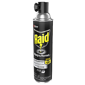 Raid Wasp and Hornet Killer, 17.5-Ounce (Pack - 6)