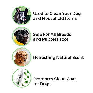 BarkLogic - 2in1 Dog/Puppy Coat & Bed Spray - Sensitive Skin - Safe - Infused with Essential Oils - Refreshing Naturally Derived Scent - Spray on Pets & Household Items - Made in USA - 16 oz - Mint