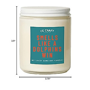 CE Craft - Smells Like A Dolphins Win Candle - Football Themed Candle, Gift for Dad, Gift for Son, Florida Gift, Florida Themed Candle, Gift for Him (Iced Vanilla Woods)