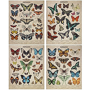 Spiareal 4 Pieces Butterflies Posters Vintage Papillons Butterflies Poster Wall Art Prints Butterfly Printed Wall Art Posters Butterfly Vintage Decor Butterfly Pictures Paper for Home Bedroom