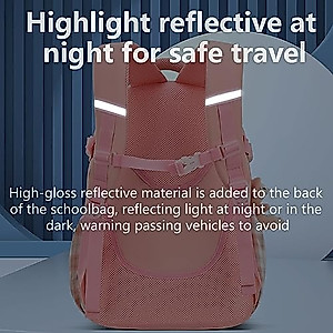 HANXIUCAO Backpacks for Girls Large Bookbags for Teens Girls Backpack for School Laptop Compartment Primary (Purple), 17.3x12.2x5.1 inch