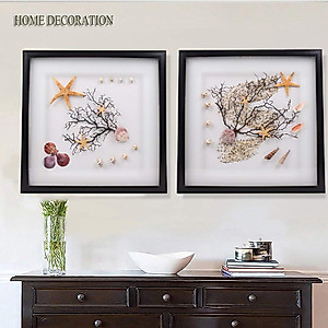 Sea Shells Mixed Beach Seashells 9 Kinds 1.2"-3.5 "Various Sizes Natural Seashells and 2 Kinds of Natural Starfish for Beach Themed Party DIY Crafts FishTank Vase Fillers Home Wedding Decorations