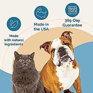 Nervous System Support for Dogs and Cats (Formerly S-Support) Naturally Relieves Seizures in Dogs and Cats | Herbal Formula Safely Aids in Reducing Anxiety, Seizures, and Helps Support Nervous System
