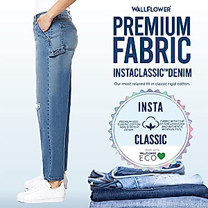 WallFlower Women's Carpenter Denim Low-Rise Insta Classic Juniors Jeans, Halsey, 17