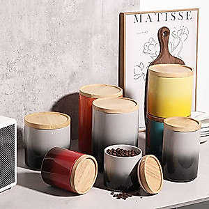 Sweejar Kitchen Canisters Ceramic Food Storage Jar Set, Stackable Containers with Airtight Seal Wooden Lid for Serving Ground Coffee, Tea, Herbs, Grains, Sugar, Salt - Set of 4 (Gradient Gray)