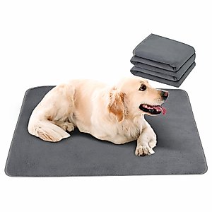 FONESO Washable Pee Pads for Dogs, Reusable Pads with Fast Absorbent, Non-Slip Pet Training Mat Playpen for Puppy/Senior Dog Whelping Incontinence Housebreaking (35.8x47.6 inch, Pack of 2)