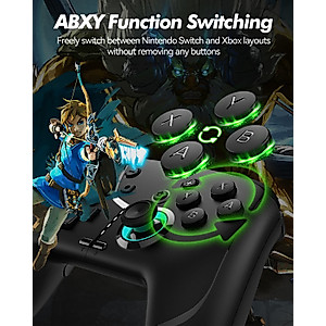 Wireless Switch Pro Controller for Nintendo Switch/Lite/OLED, Bluetooth Gaming Controller for iPhone/Android/Phone/PC/Steam/Mac/iOS/iPad/TV with Programmable/Vibration/Motion Control/Turbo/Wakeup/RGB