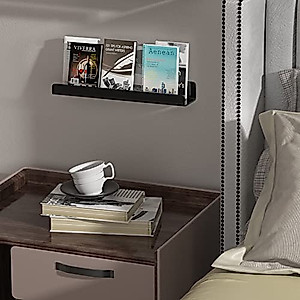 Hexsonhoma 16.5 Inches Black Wall Shelf, 1 Pack, Acrylic Wall Storage Shelf in U Shape, Thick Acrylic, Big Capacity Hold Max 30 Lbs