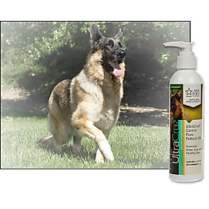 UltraCruz - sc-395363 Canine Pure Pollock Oil Supplement for Dogs, 8 oz
