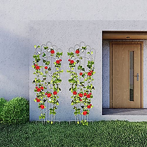 XYADX Metal Detachable Trapezoidal Garden Trellis for Climbing Plants, 60 Inches Sturdy Patio Plant Support for Indoor Plants Trellis for Rose, Vegetable Flower, Backyard Pack of 2 - White