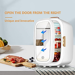 WESTN 20L Mini Fridge, Portable Skincare Beauty Fridge with LED Makeup Mirror (3 Level Brightness), Multifunctional Dual Purpose, for Food, Drinks, Skin Care, Beauty