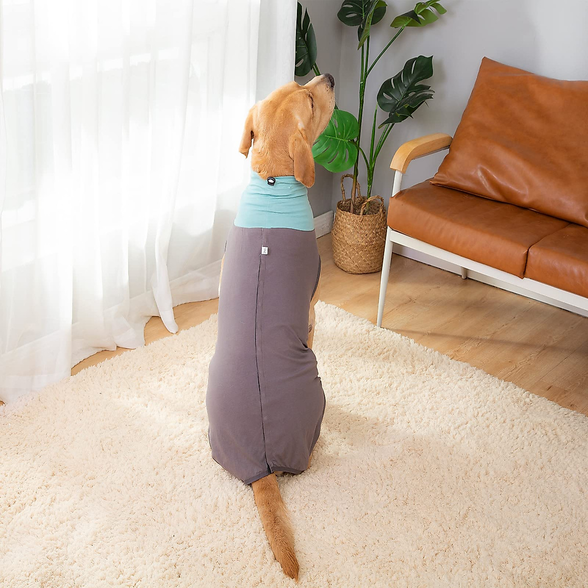 Musraya Dog Surgery Recovery Suit, Onesies for Dogs After Surgery, Dog Spay Recovery Suit Female, Breathable Neutering Recovery Suit for Male Dogs, Puppy Onesies Dog Surgical Suit (Darkgrey,S)