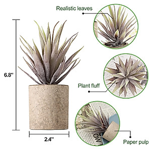 WUKOKU 4 PCS Small Fake Succulents Plants in Ceramic Pots Mini Artificial Potted Succulent Decoration for Desk, Shelves, Office and Home